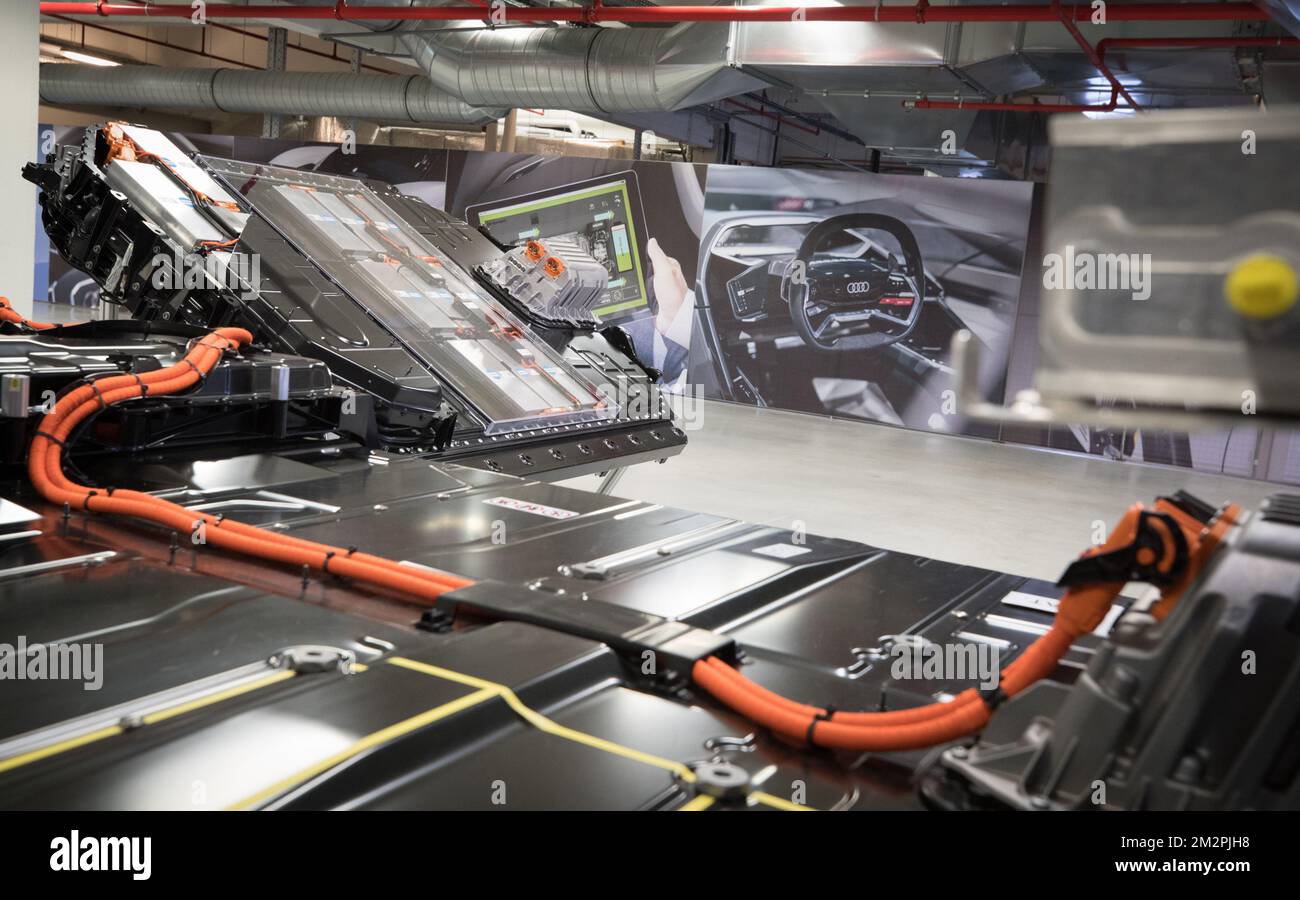 Illustration picture shows e-tron logo during a visit of the Belgian ...