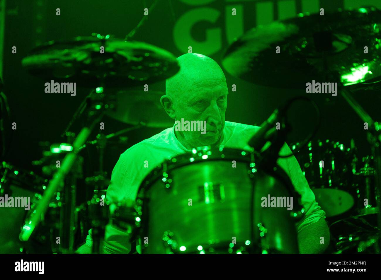 Membranes hi-res stock photography and images - Alamy