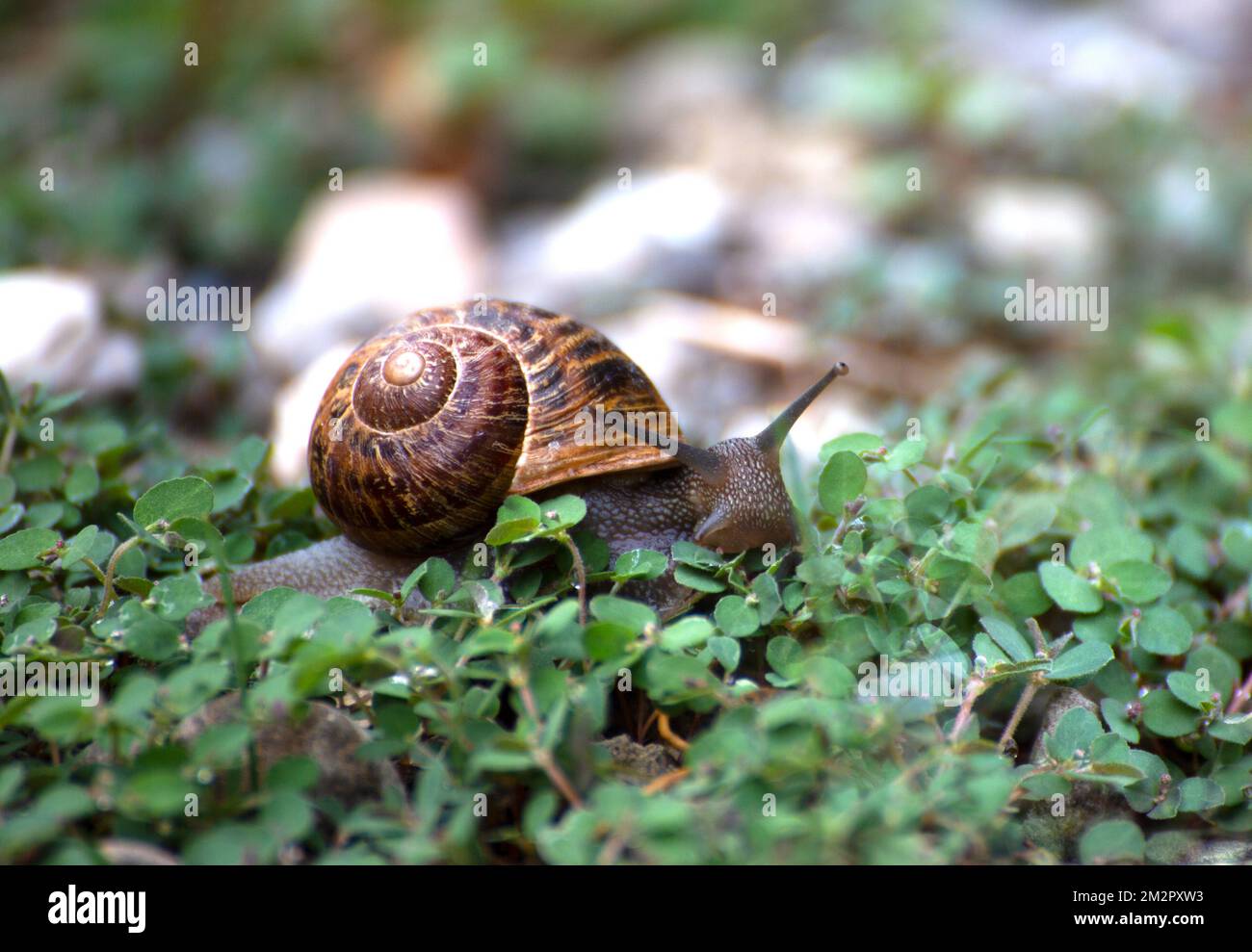 Giant spiral hi-res stock photography and images - Alamy