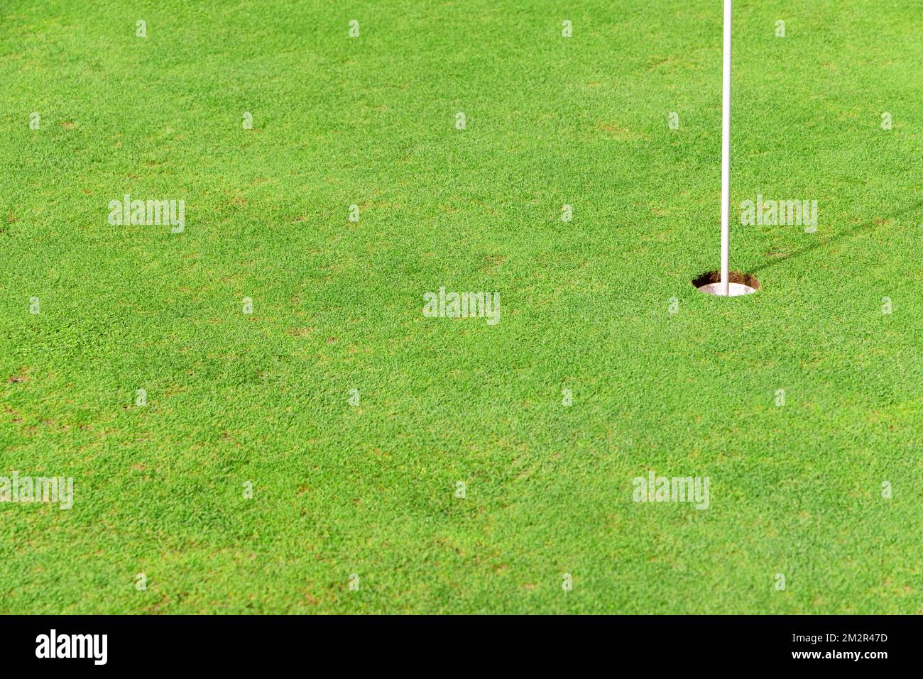 Golf course with green grass field and ball hole Stock Photo - Alamy
