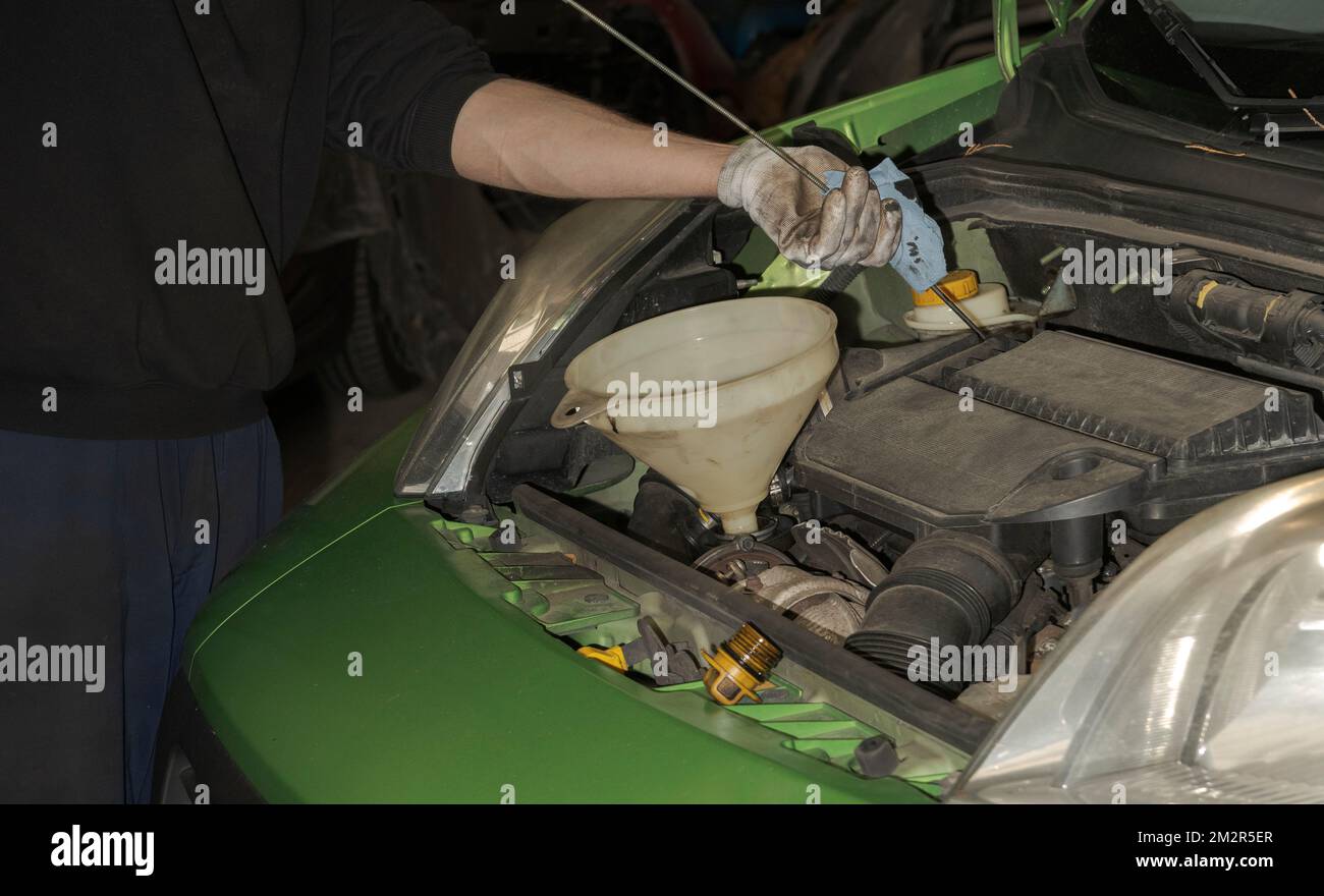 Checking the engine oil level. Topping up to the required level Stock ...