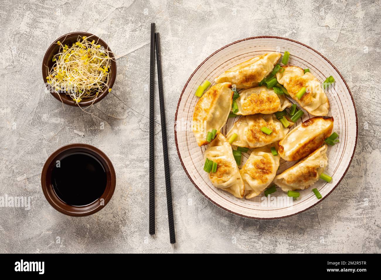 Gyoza, japanese pan-fried dumplings, on light background Stock Photo ...