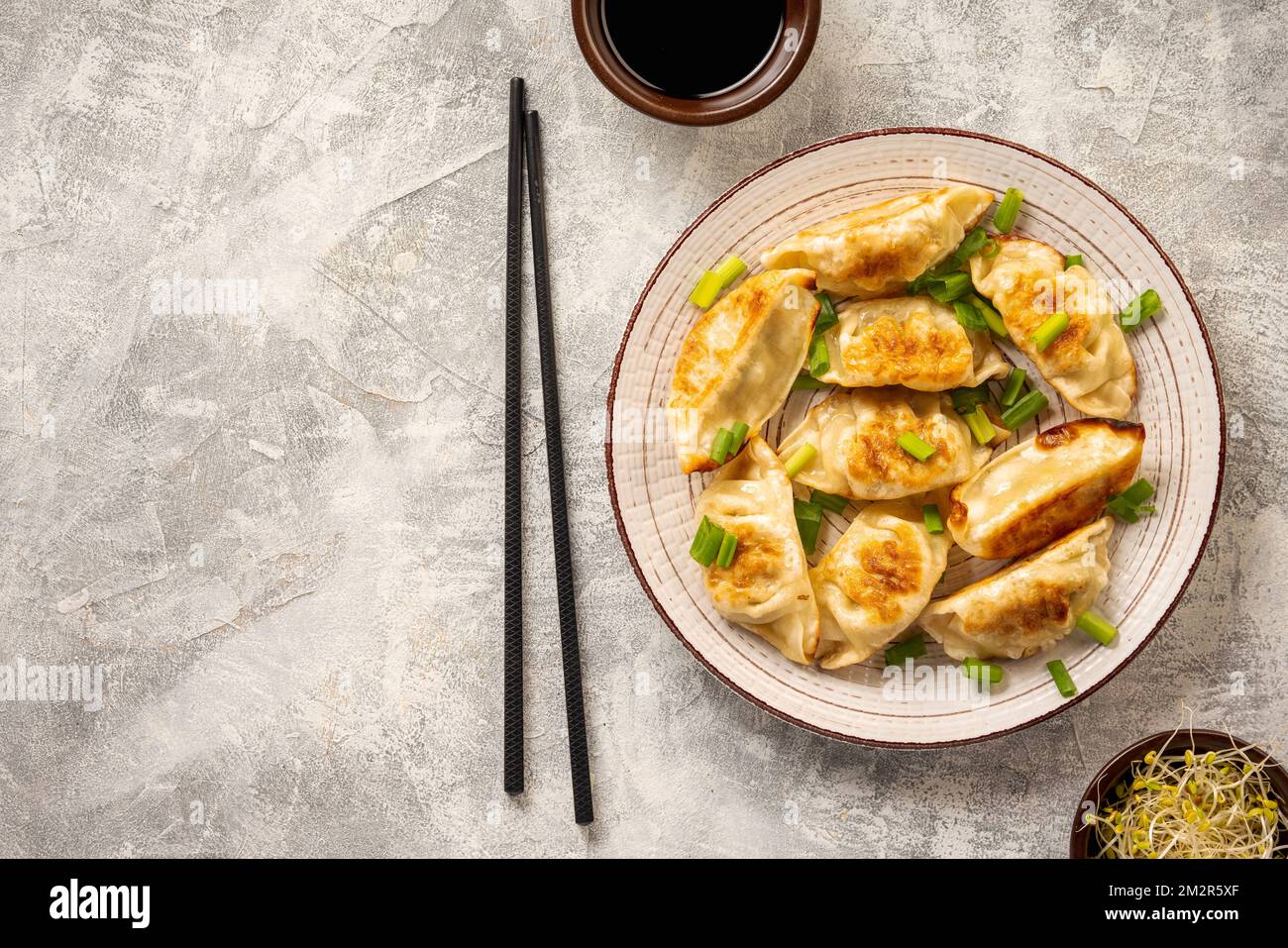 Gyoza, japanese pan-fried dumplings, on light background Stock Photo ...