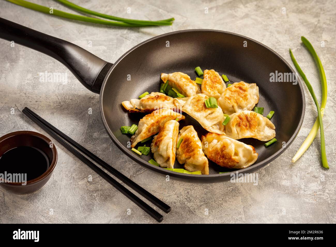 Gyoza, japanese pan-fried dumplings, on light background Stock Photo ...