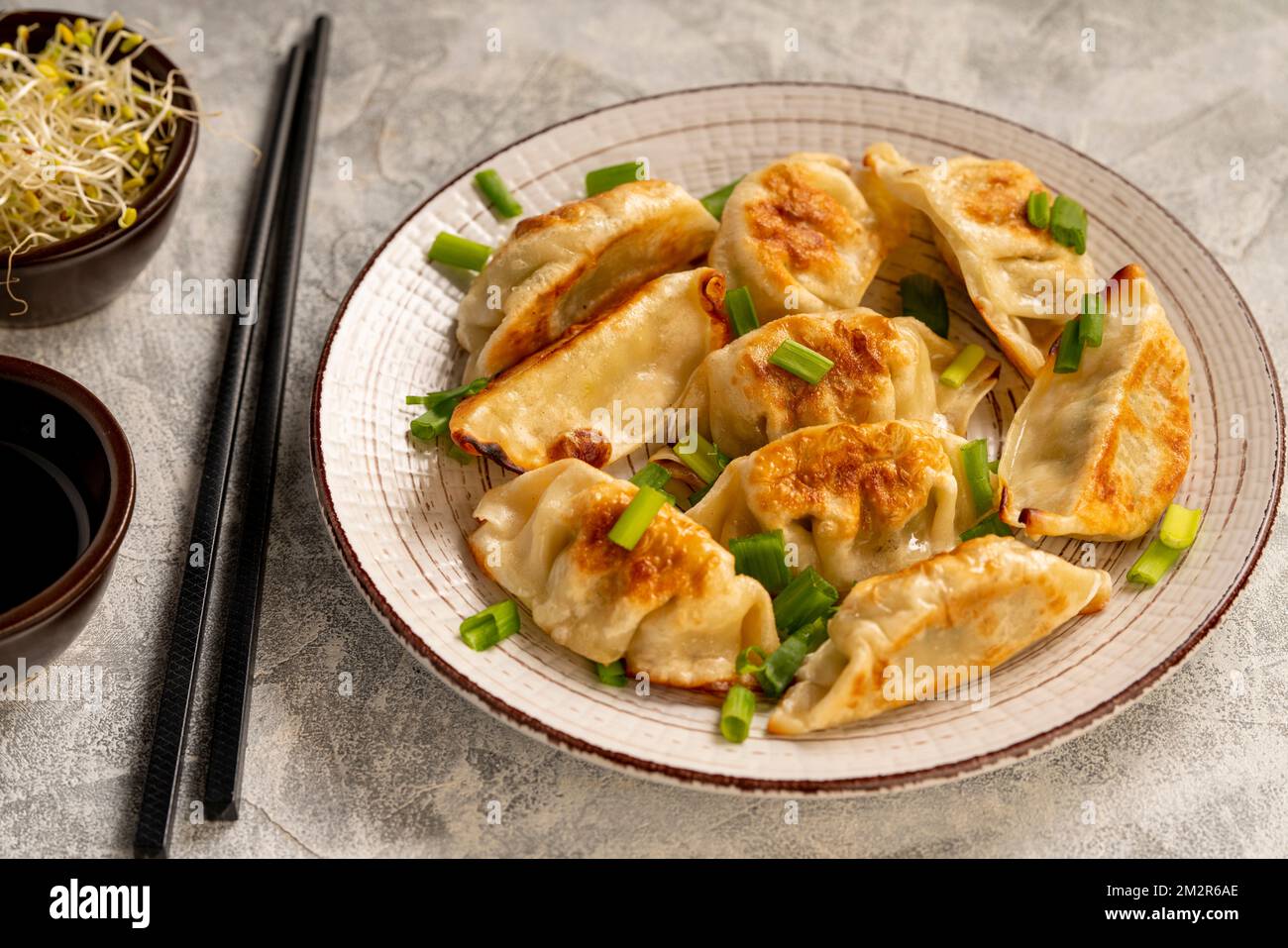 Gyoza, japanese pan-fried dumplings, on light background Stock Photo ...