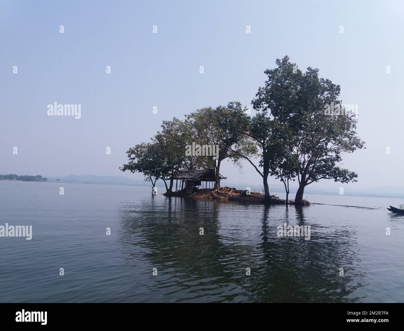 Trees drowning in a river Stock Photo - Alamy