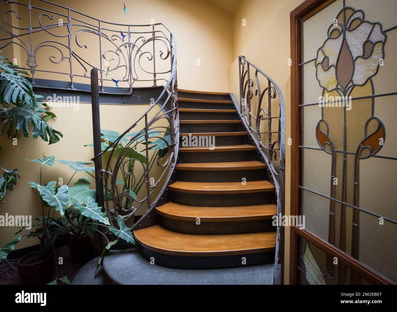 Illustration picture taken during a press visit to the Horta Museum in ...