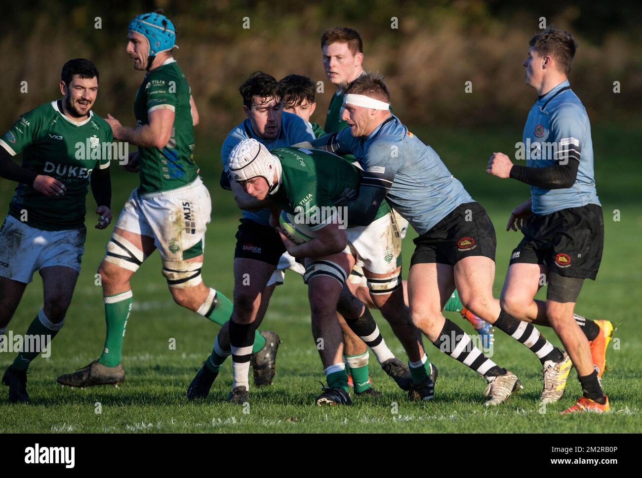 Rugby players in action Stock Photo - Alamy