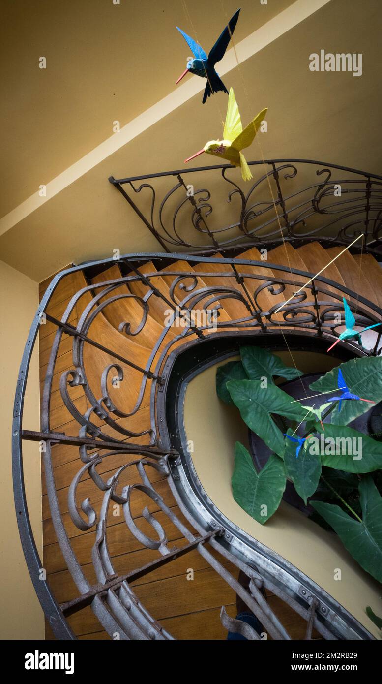 Illustration picture taken during a press visit to the Horta Museum in ...