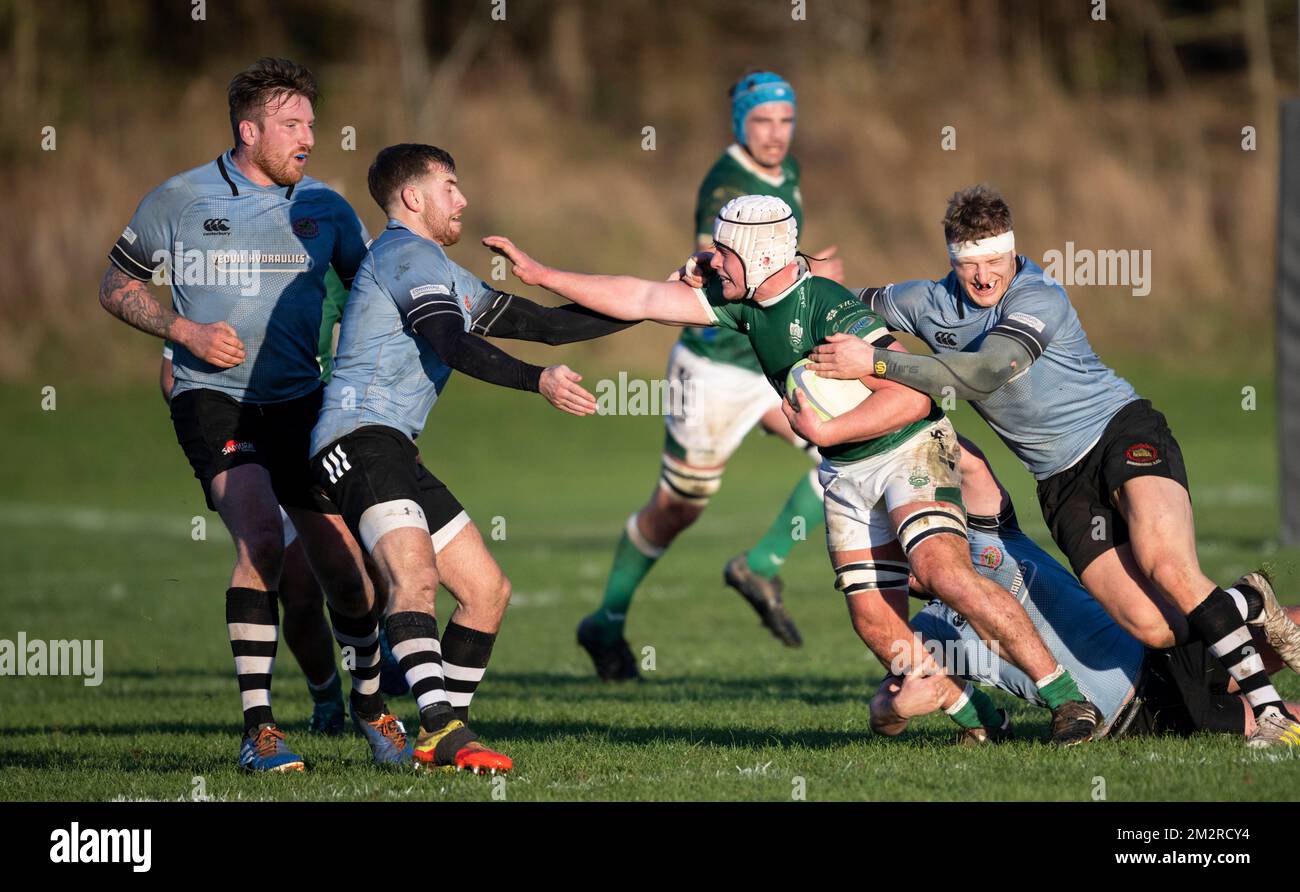 Rugby players in action Stock Photo - Alamy