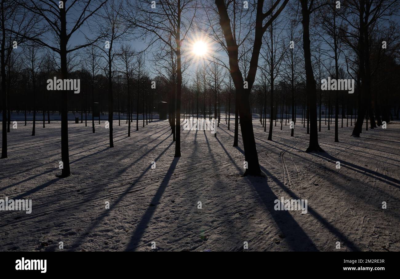 Schwerin, Germany. 14th Dec, 2022. The low sun shines through the trees ...