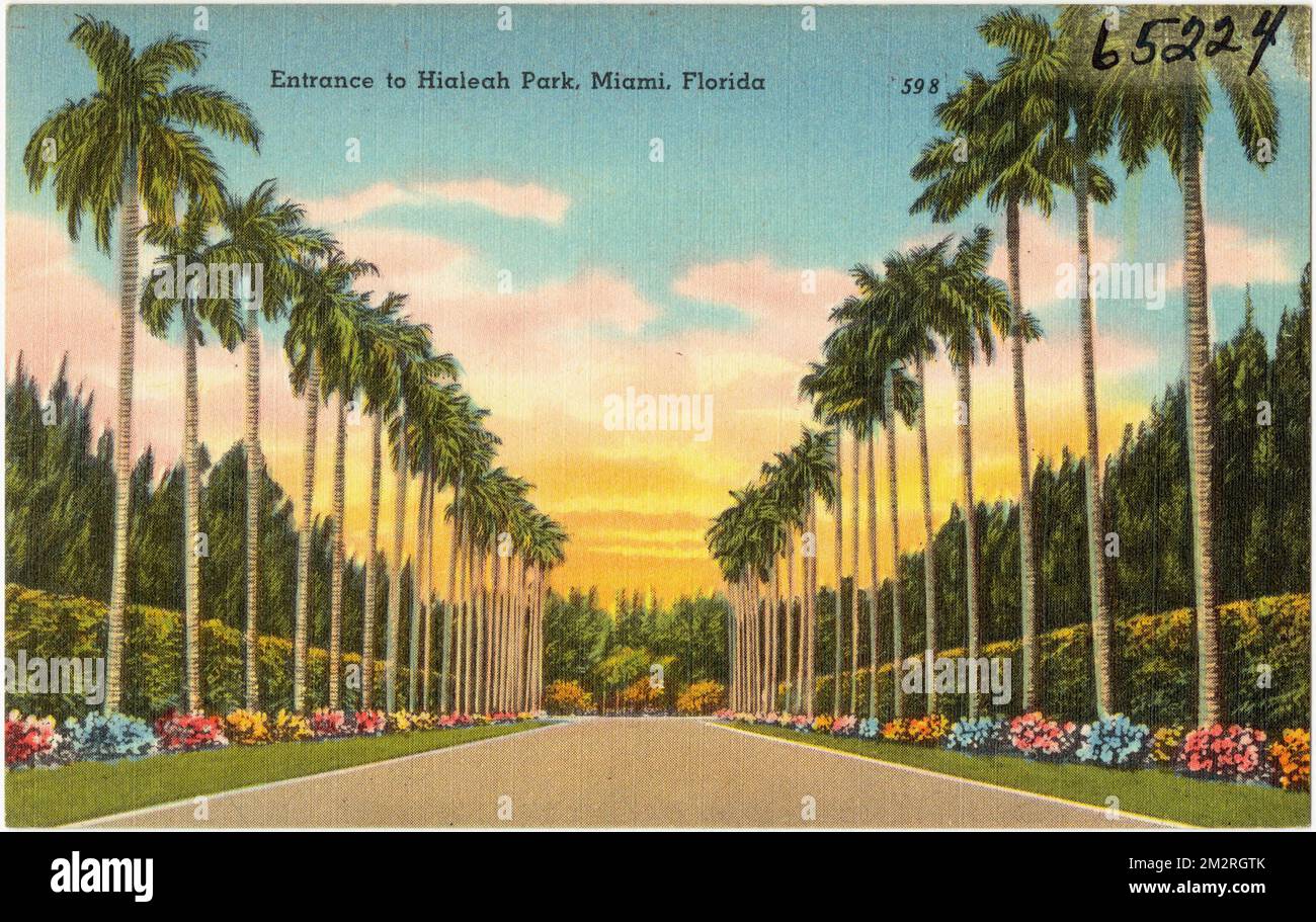 Entrance to Hialeah Park, Miami, Florida , Parks, Tichnor Brothers ...