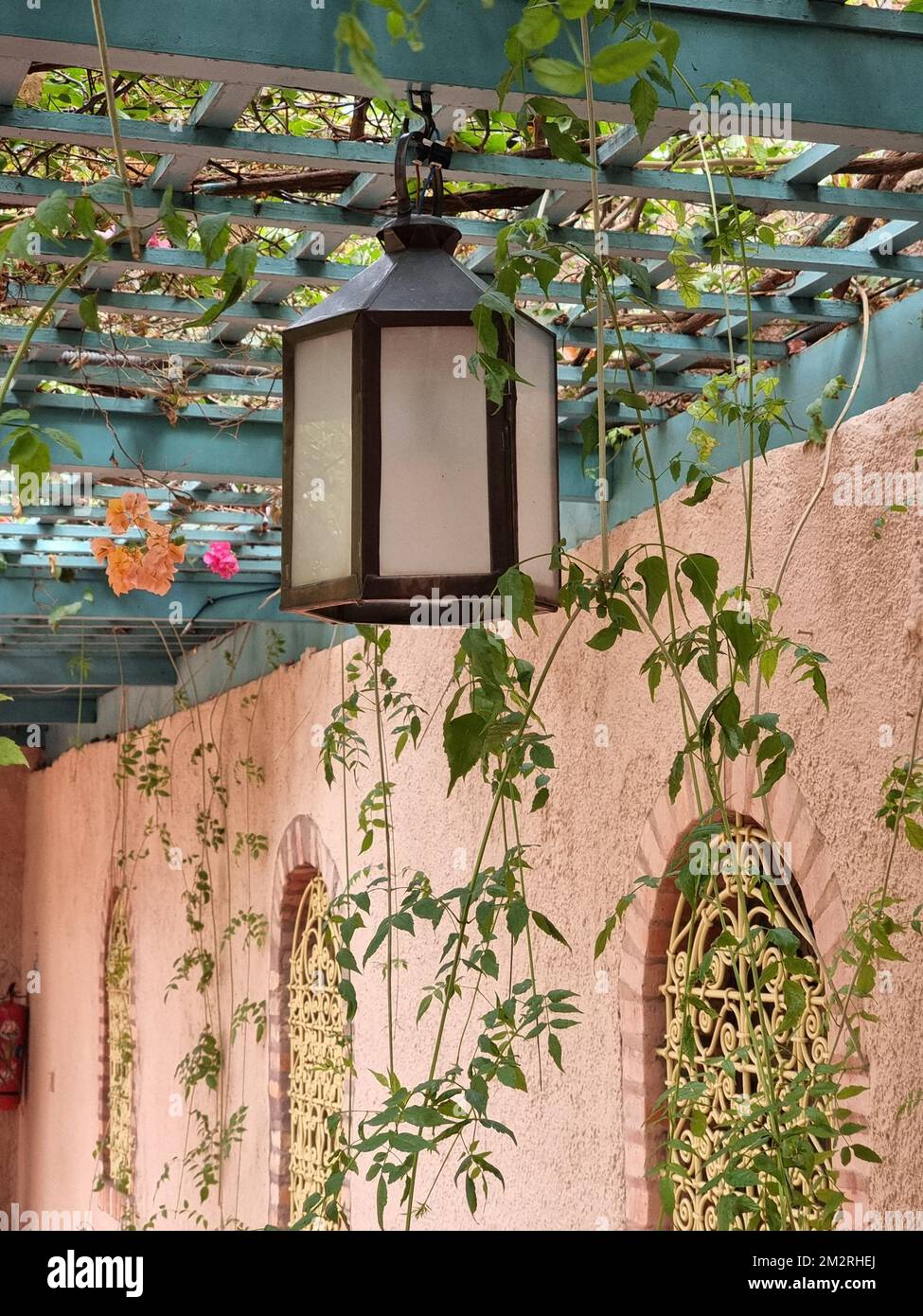 A vertical shot of a lamp hanging from mesh ceiling in a garden with ...