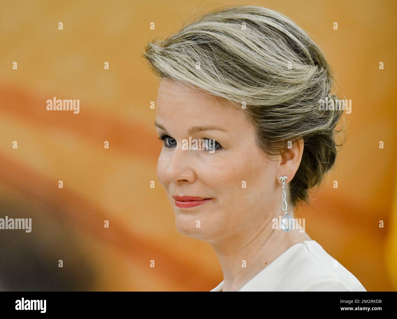 Queen Mathilde of Belgium pictured during a State Banquet at Cheong Wa ...