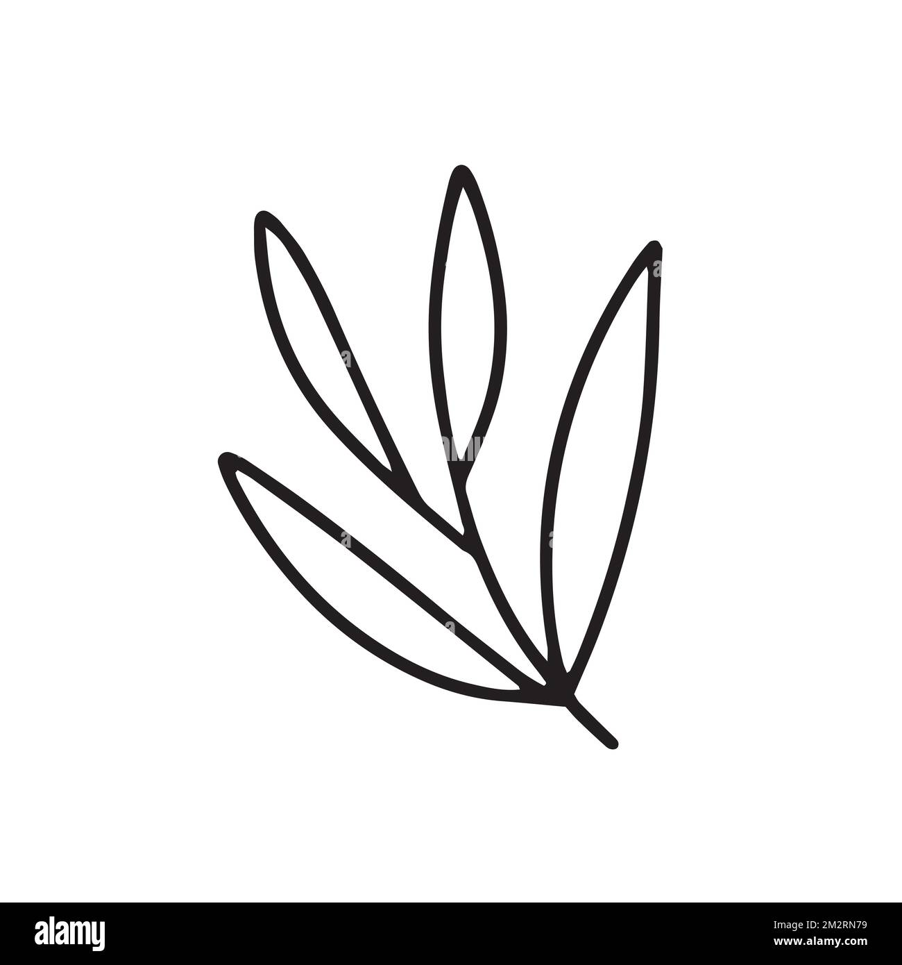 Hand drawn branch with leaves Stock Vector Image & Art - Alamy