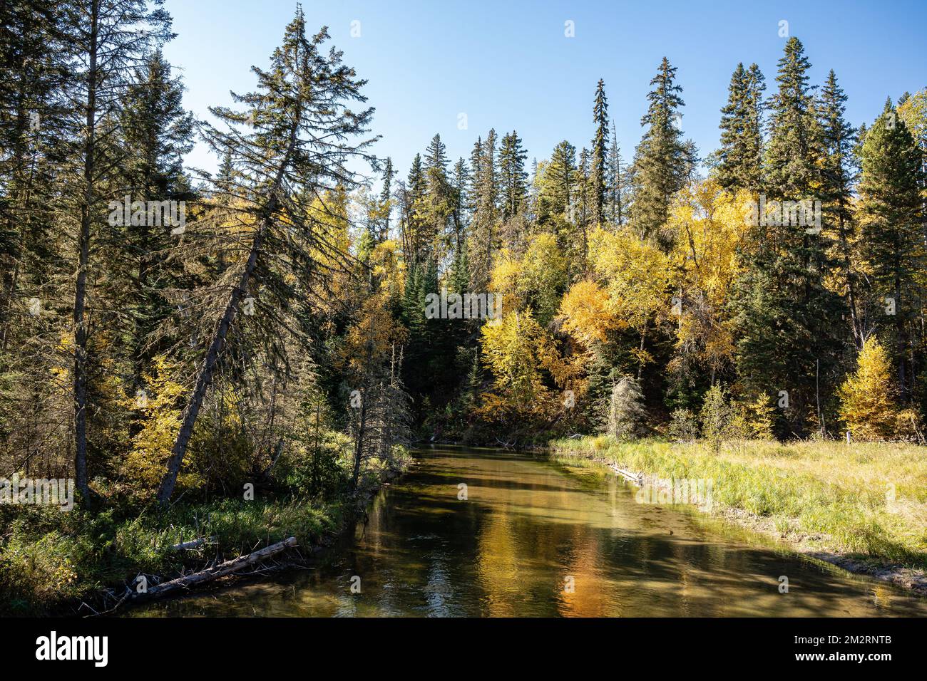 The lush autumn trees on the shore of a lake in Prince Albert National ...