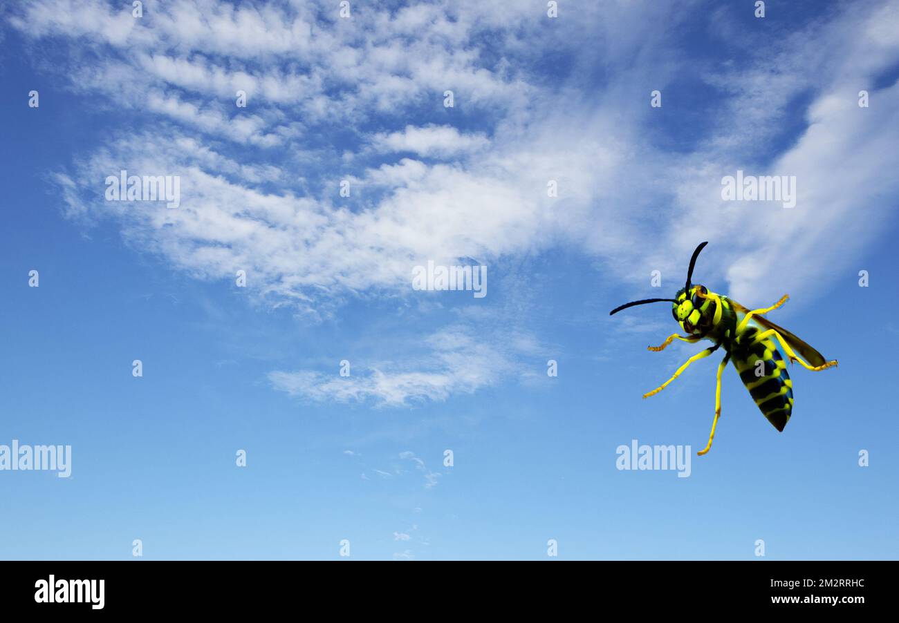 Beach attack greece hi-res stock photography and images - Alamy