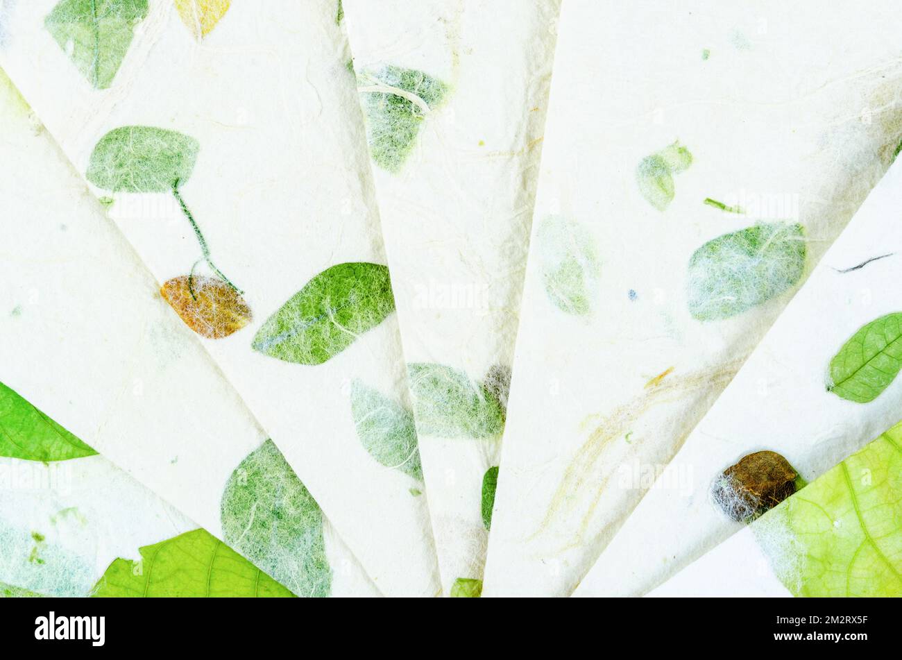 Rice paper flower decoration hi-res stock photography and images - Alamy