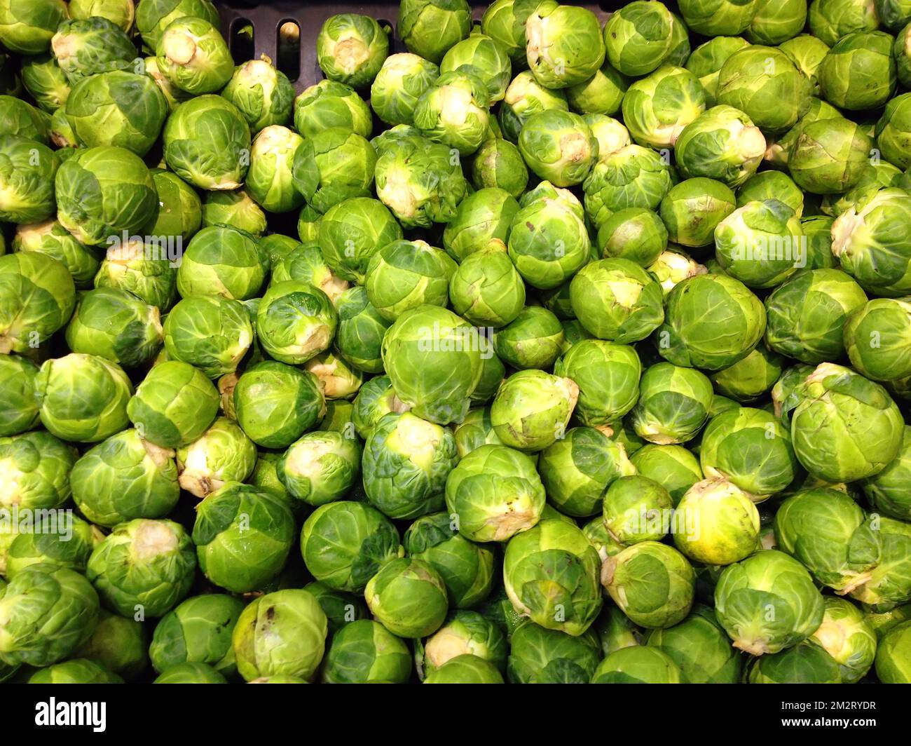 Brussel sprouts vegetable as a background Stock Photo - Alamy