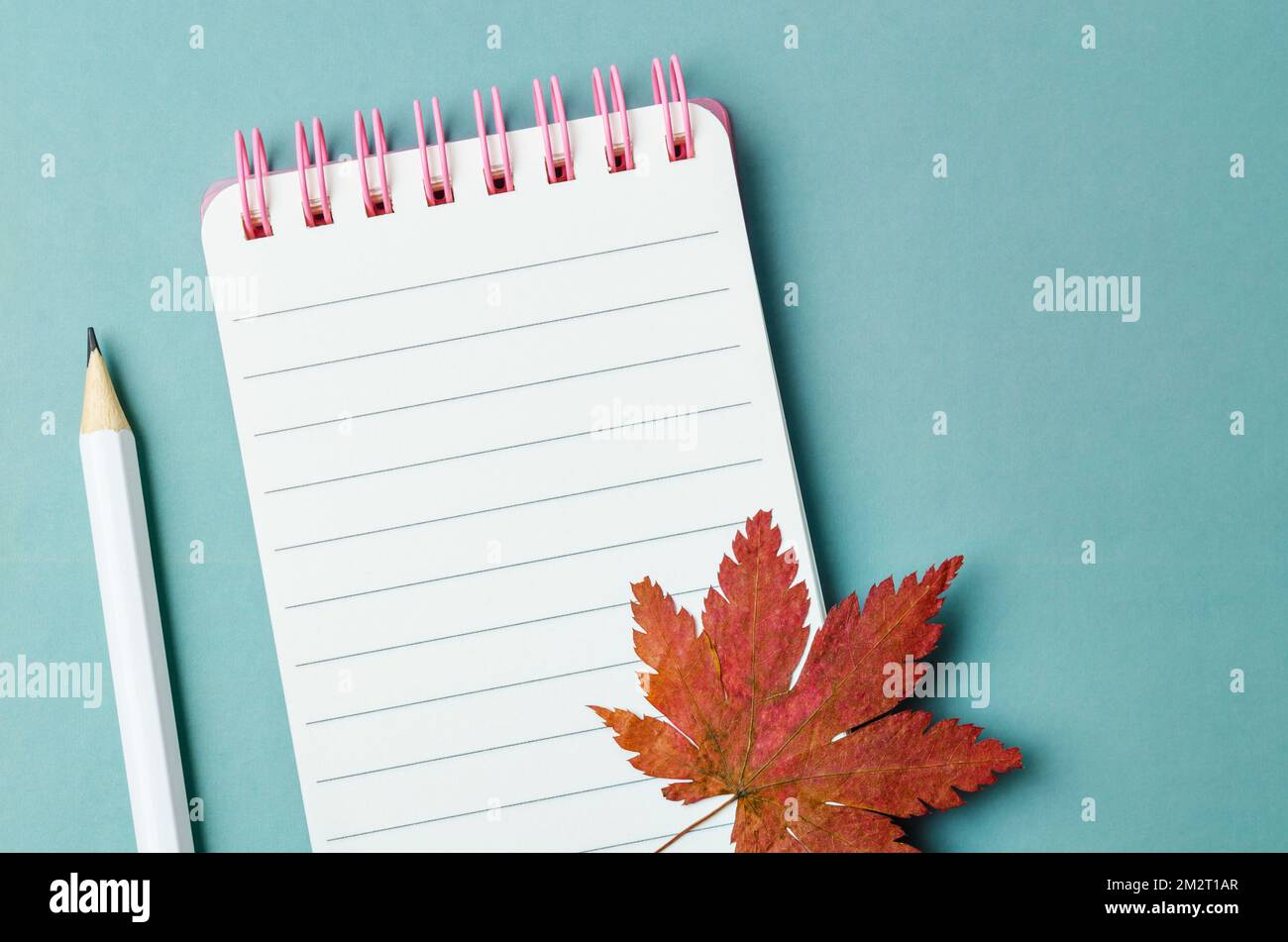 Blank open diary and maple leaf with pencil on blue color background ...