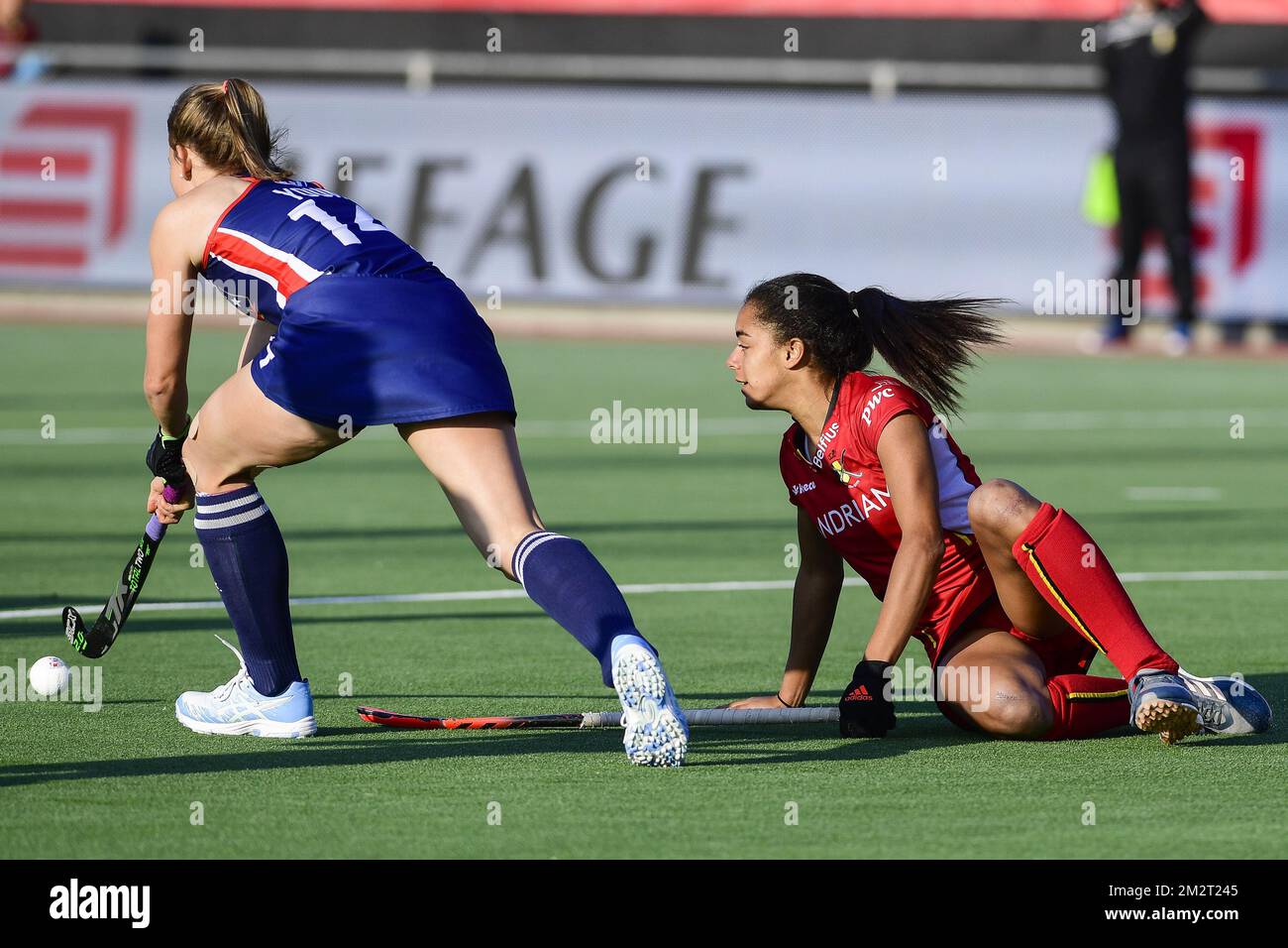 Redpanthers hi-res stock photography and images - Alamy