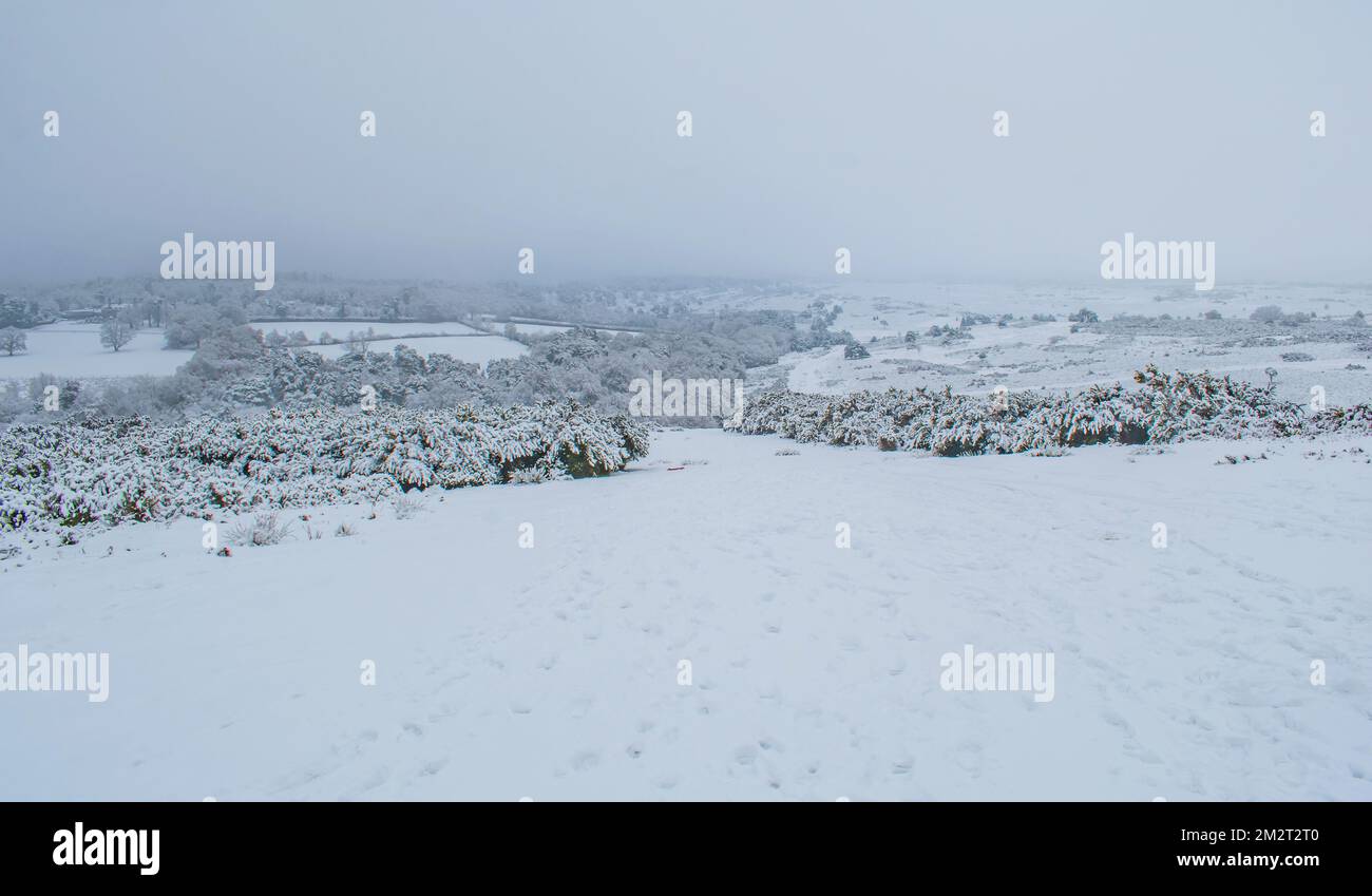 A pathway down across Ashdown Forest England,s empty landscape on a ...