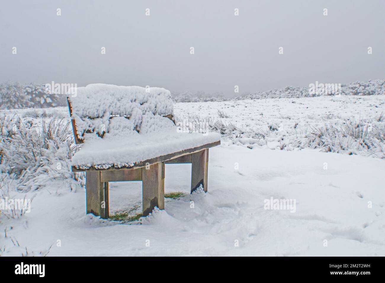 A snow covered bench with no one in sight at Asdown Forest England on a ...