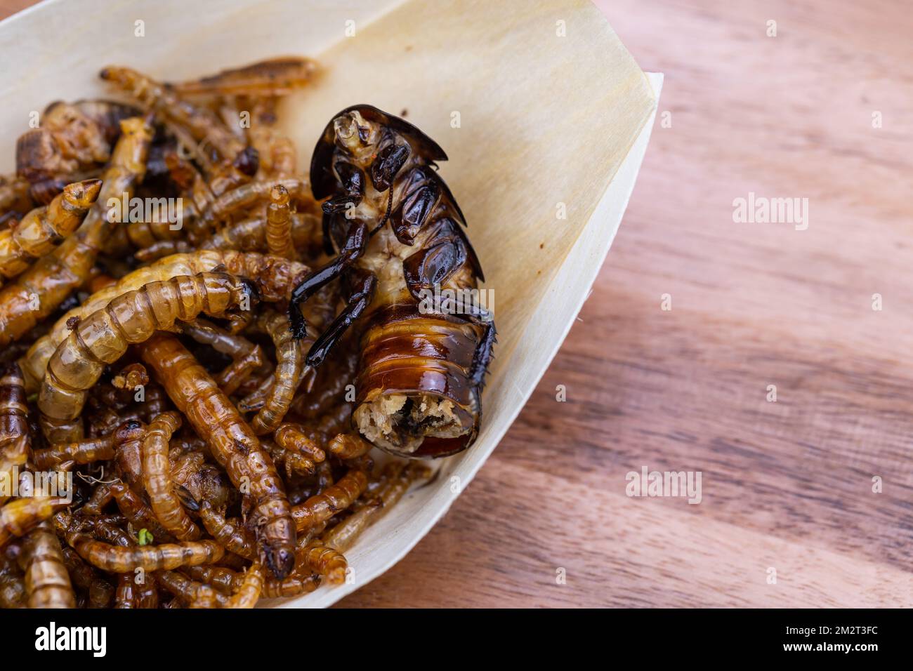 Fried cockroach thailand hi-res stock photography and images - Alamy