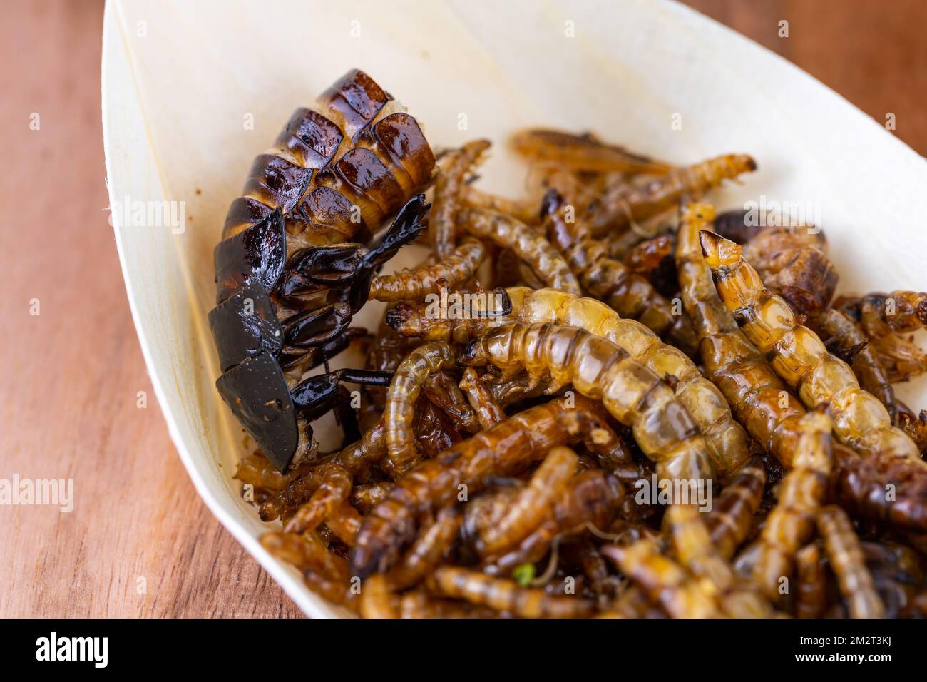 Fried wood grubs, mealworms and cockroach on a wooden chopping board ...