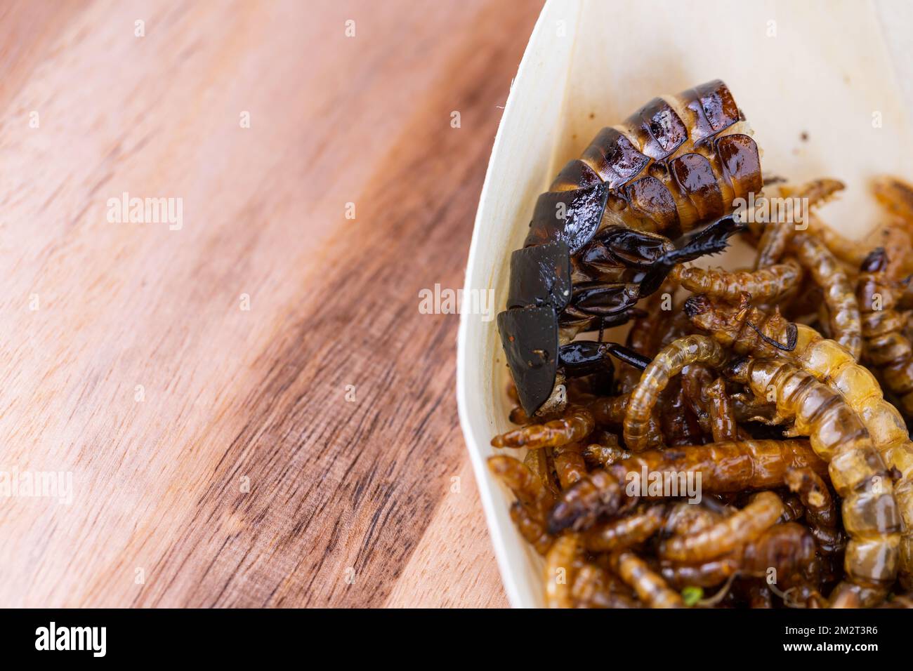 Cooked grubs hi-res stock photography and images - Alamy
