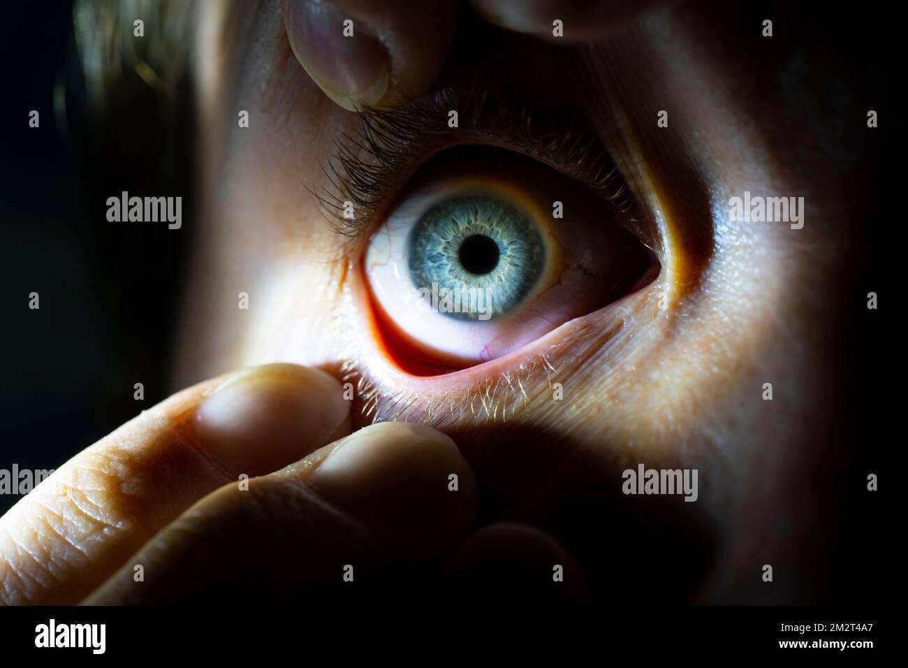 Macro shot of female eye, iris, cropped on black background, usable as ...