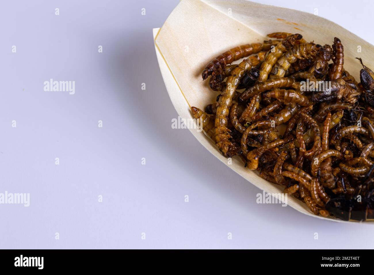 Fried wood grubs and mealworms on a wooden tray on white background ...