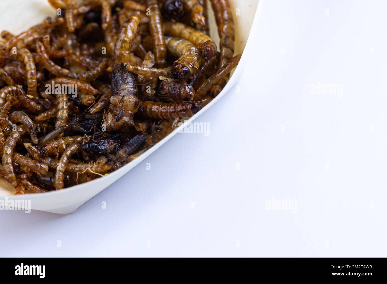 Fried wood grubs and mealworms on a wooden tray on white background ...