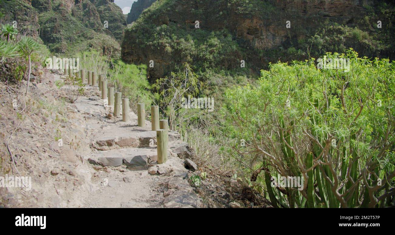Mountain landscape of the Barranco del Infierno, Adeje, Tenerife Sur ...