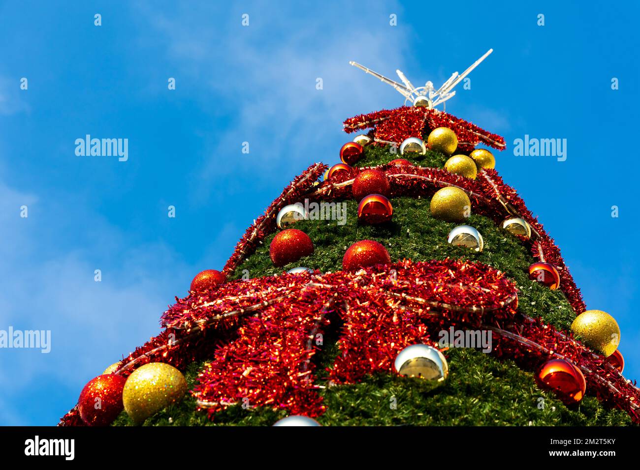 Urban Xmas Tree