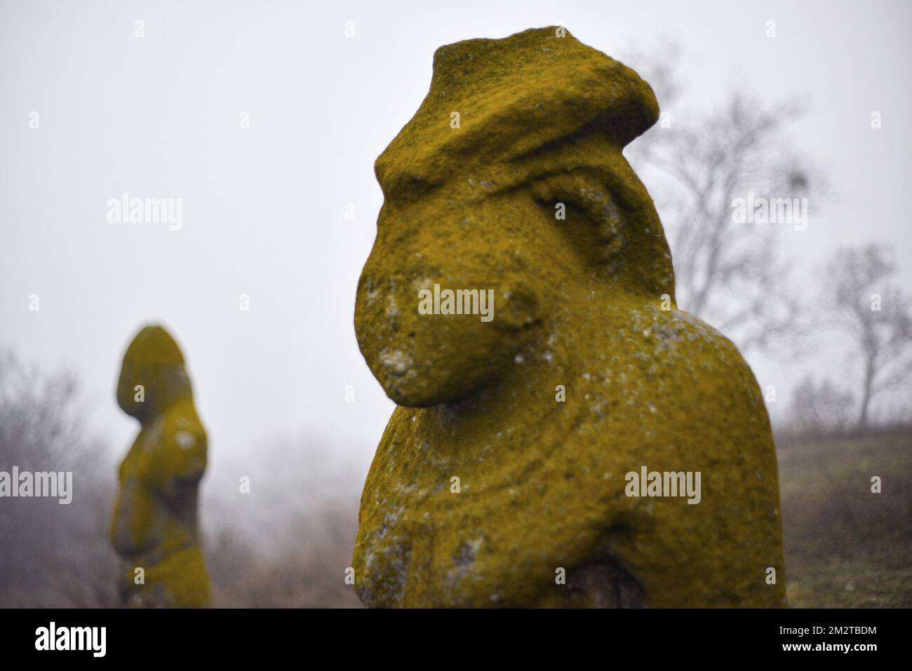 KHARKIV REGION, UKRAINE - DECEMBER 13, 2022 - Polovtsian stone women ...