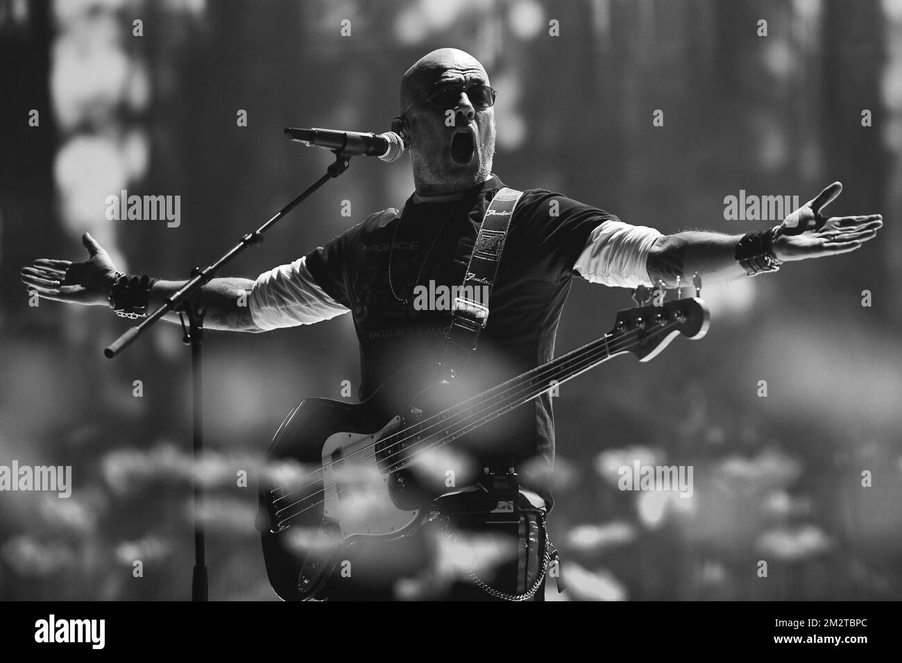 Belgaportrait idsok hi-res stock photography and images - Alamy