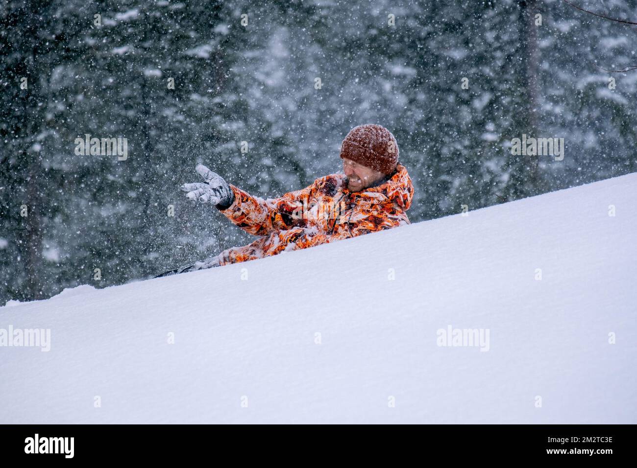 Drowning tree hi-res stock photography and images - Alamy