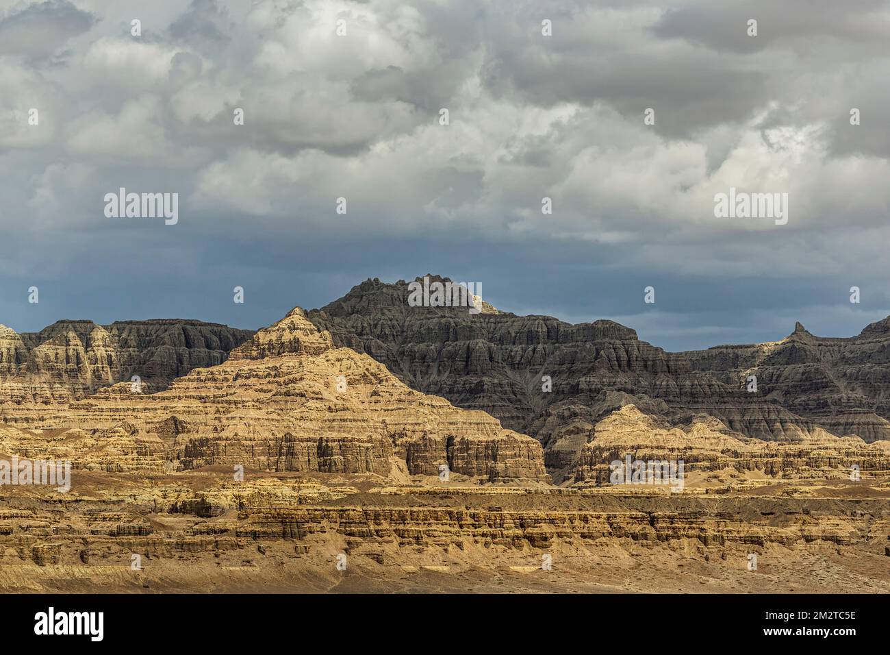 The beautiful view of Earth forest landform in Zanda County, Tibet ...