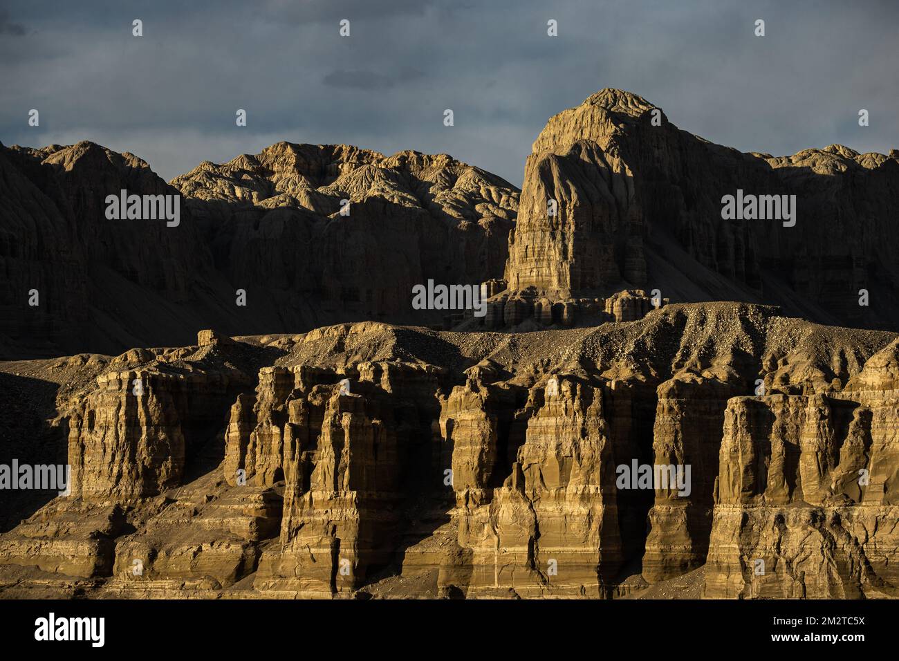 The beautiful view of Earth forest landform in Zanda County, Tibet ...