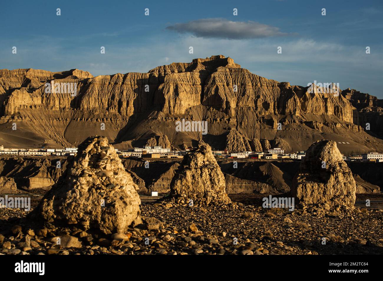 The beautiful view of Earth forest landform in Zanda County, Tibet ...
