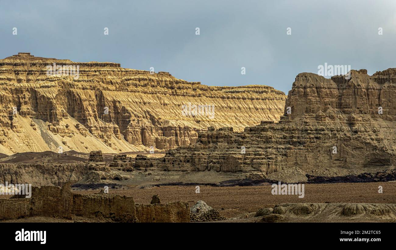 The beautiful view of Earth forest landform in Zanda County, Tibet ...