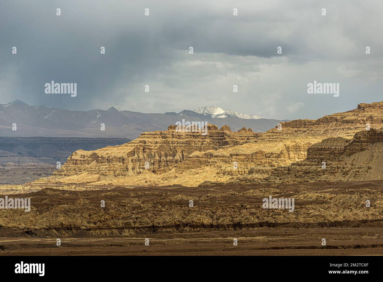 The beautiful view of Earth forest landform in Zanda County, Tibet ...