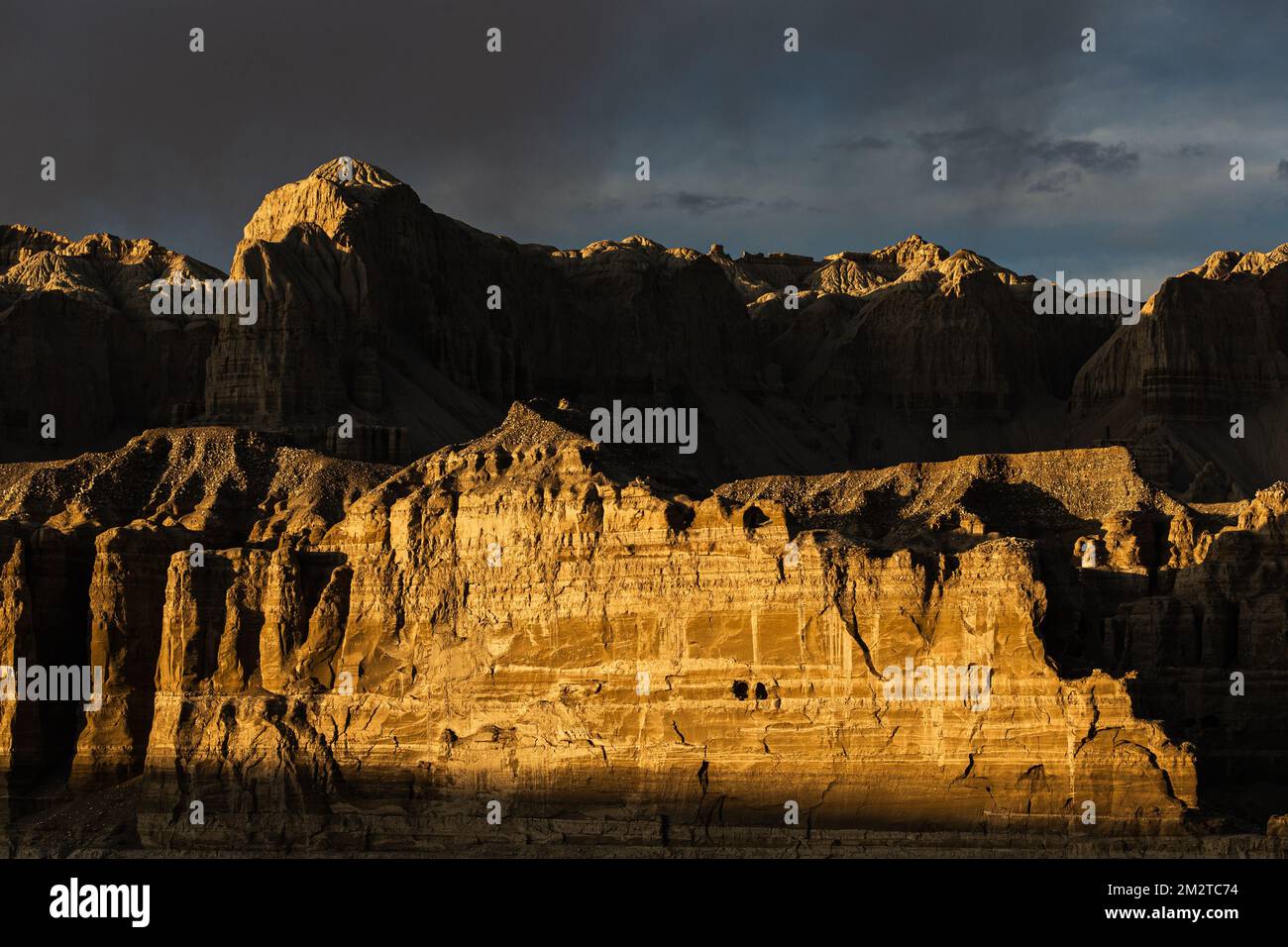 The beautiful view of Earth forest landform in Zanda County, Tibet ...