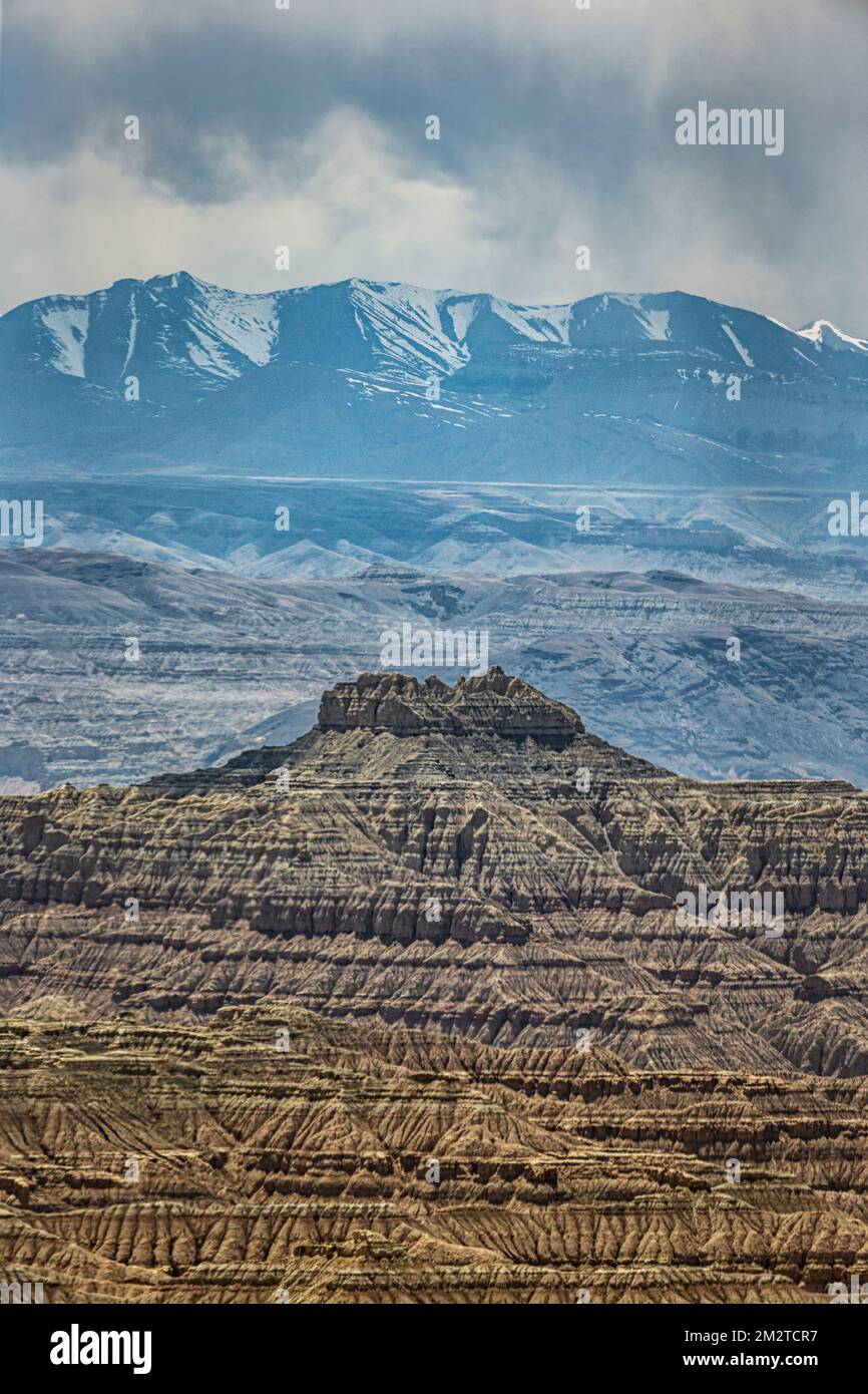 A vertical shot of the Earth forest landform in Zanda County, Tibet ...