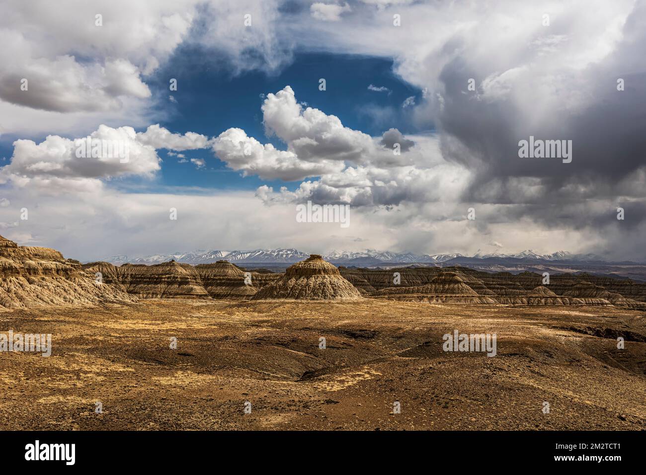 The beautiful view of Earth forest landform in Zanda County, Tibet ...