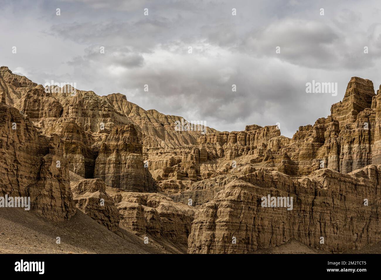 The beautiful view of Earth forest landform in Zanda County, Tibet ...