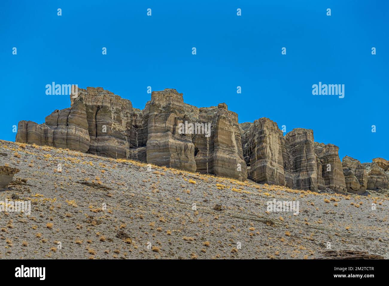 Earth forest landform hi-res stock photography and images - Alamy