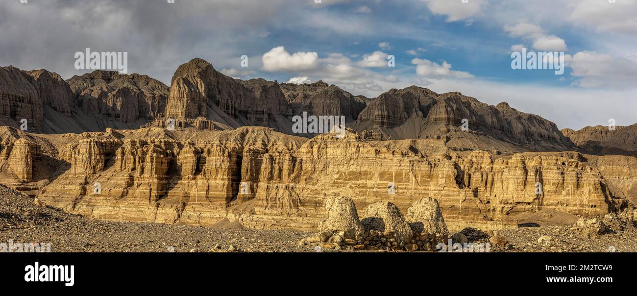 The beautiful view of Earth forest landform in Zanda County, Tibet ...