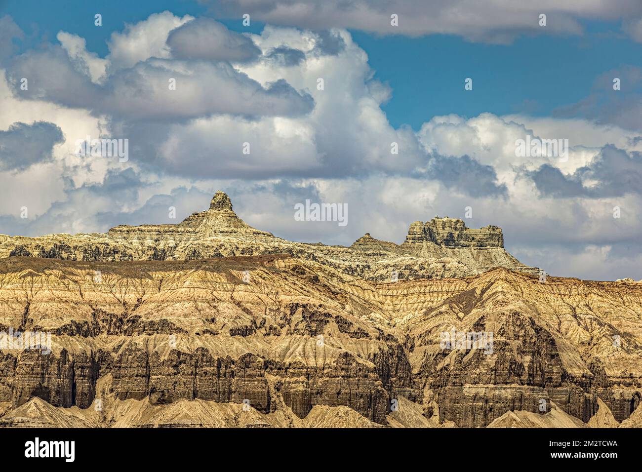 The beautiful view of Earth forest landform in Zanda County, Tibet ...